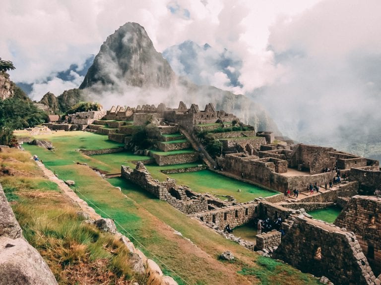 Flora and Fauna of Machu Picchu - Earth's Edge